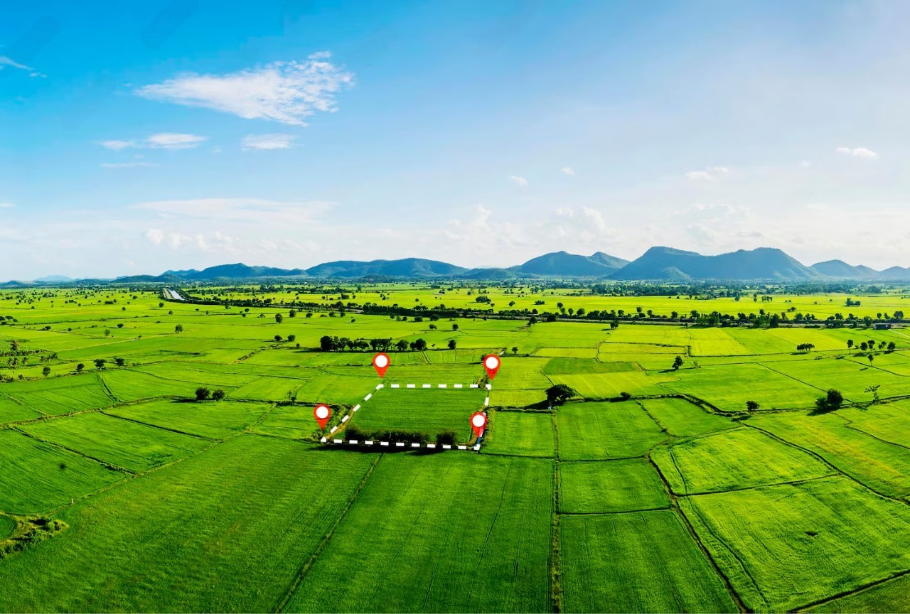Home - How To Buy Plots